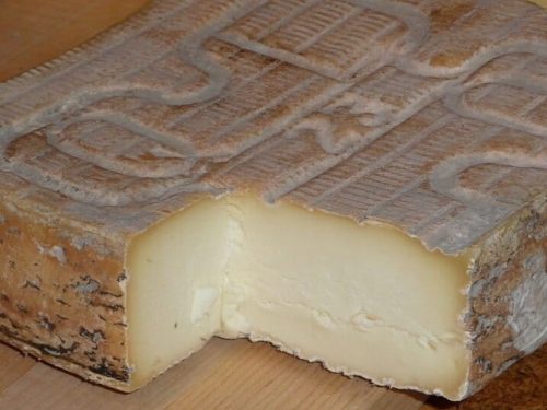 Mauri Taleggio: Italy's Newspaper Cheese (Comprehensive Guide)