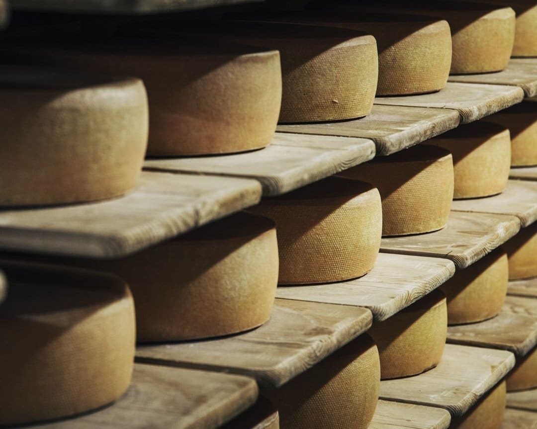 Appenzeller: Complete Guide to Switzerland's Tastiest Cheese
